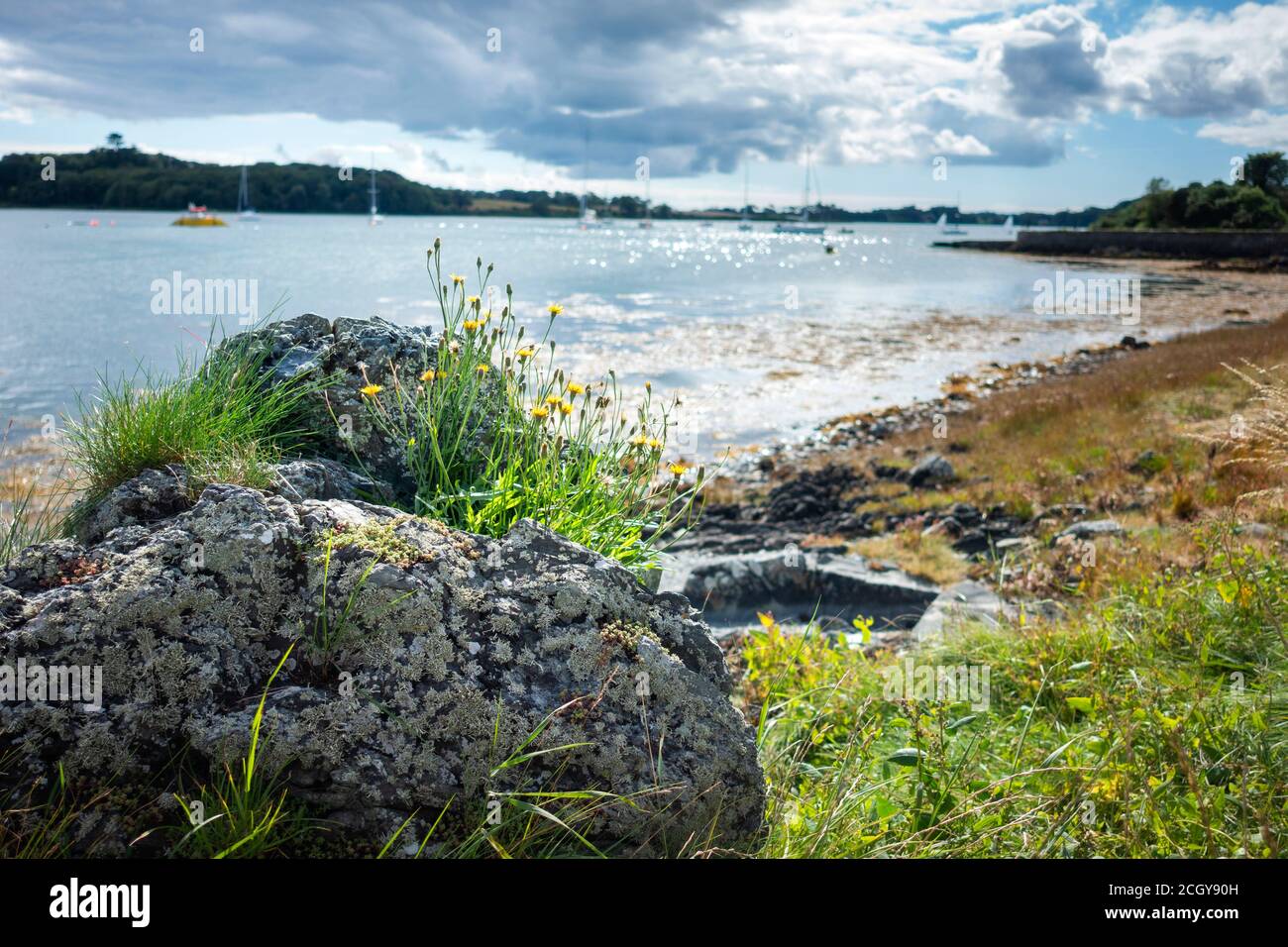 Sailing on Strangford Lough, Co. Down, Northern Ireland Stock Photo - Alamy