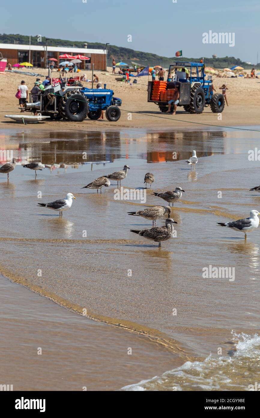 Costa da Caparica, Portugal - September 10, 2020: An artel of fishermen ...