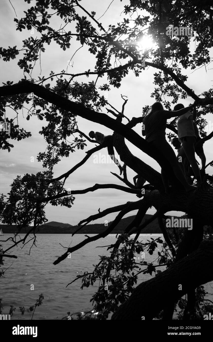 Jumping off tree branch hi-res stock photography and images - Alamy