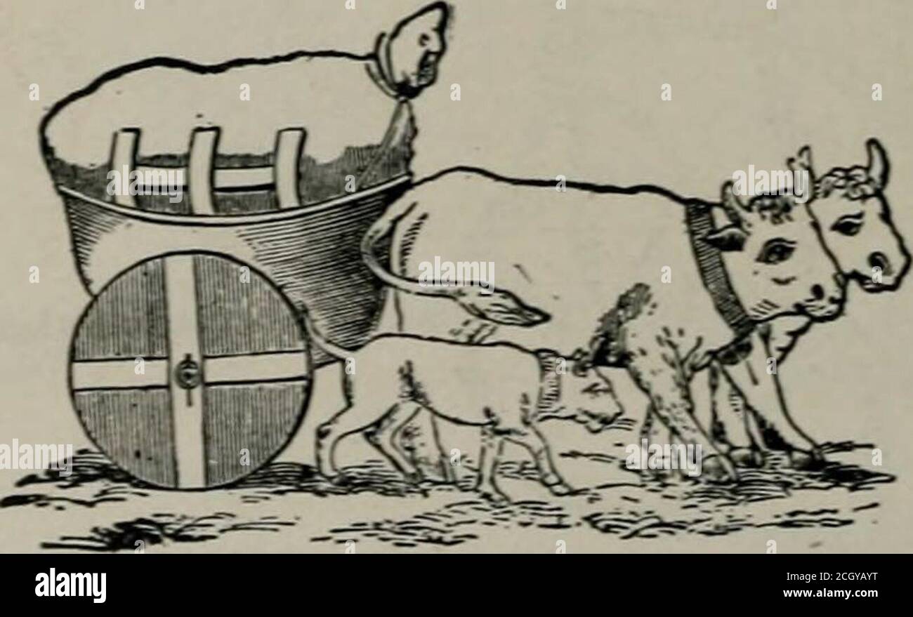 . The science of railways . A racing chariot of ancient Greece. Chariot ...