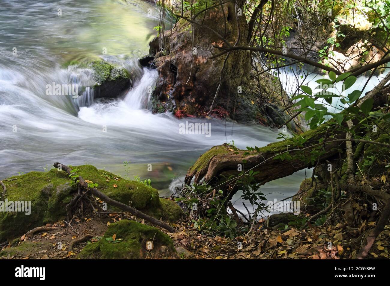 Banias waterfall hi-res stock photography and images - Alamy