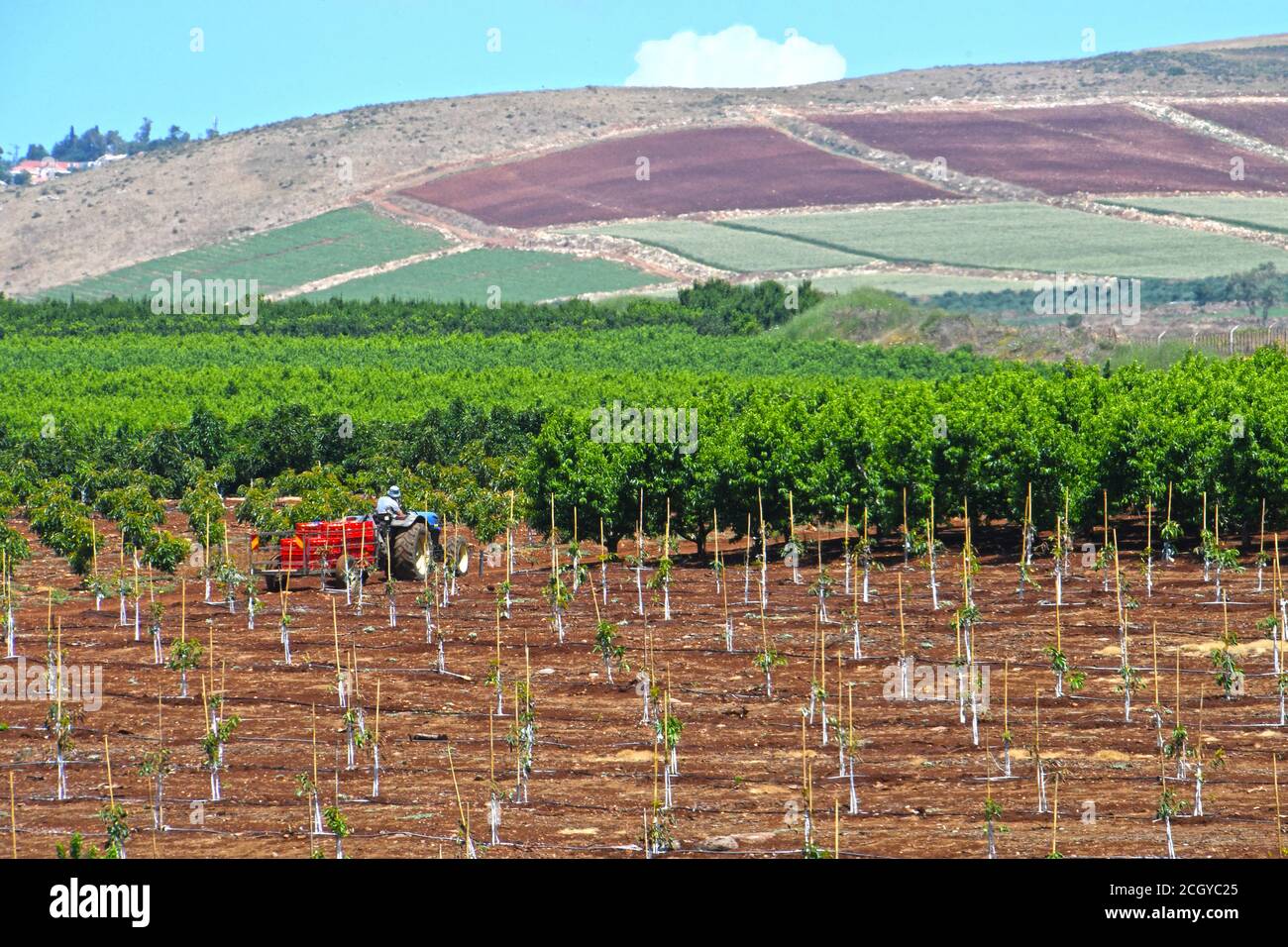 Red tractor land cultivation machine hi-res stock photography and ...