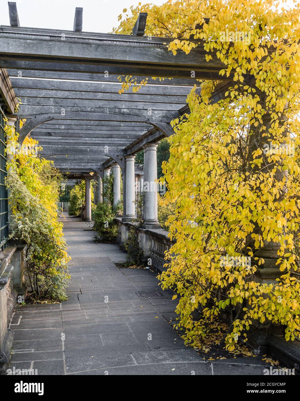 Autumn colours on the Hill Gardens walkway at the secret garden in ...