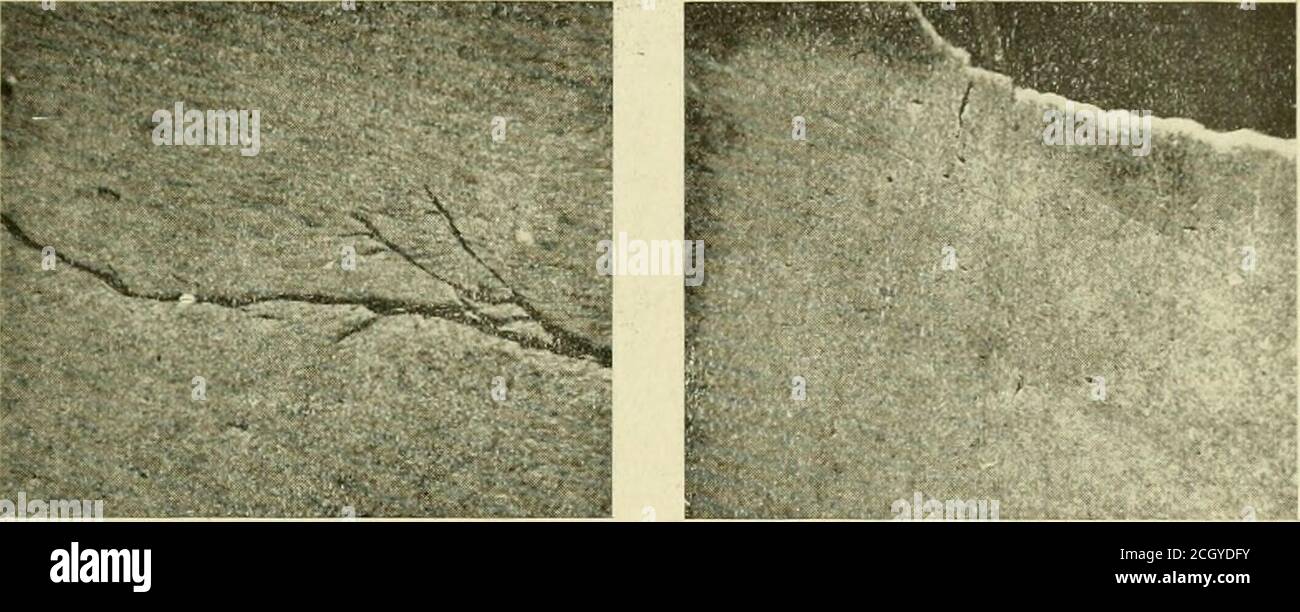 Shelledout hi-res stock photography and images - Alamy