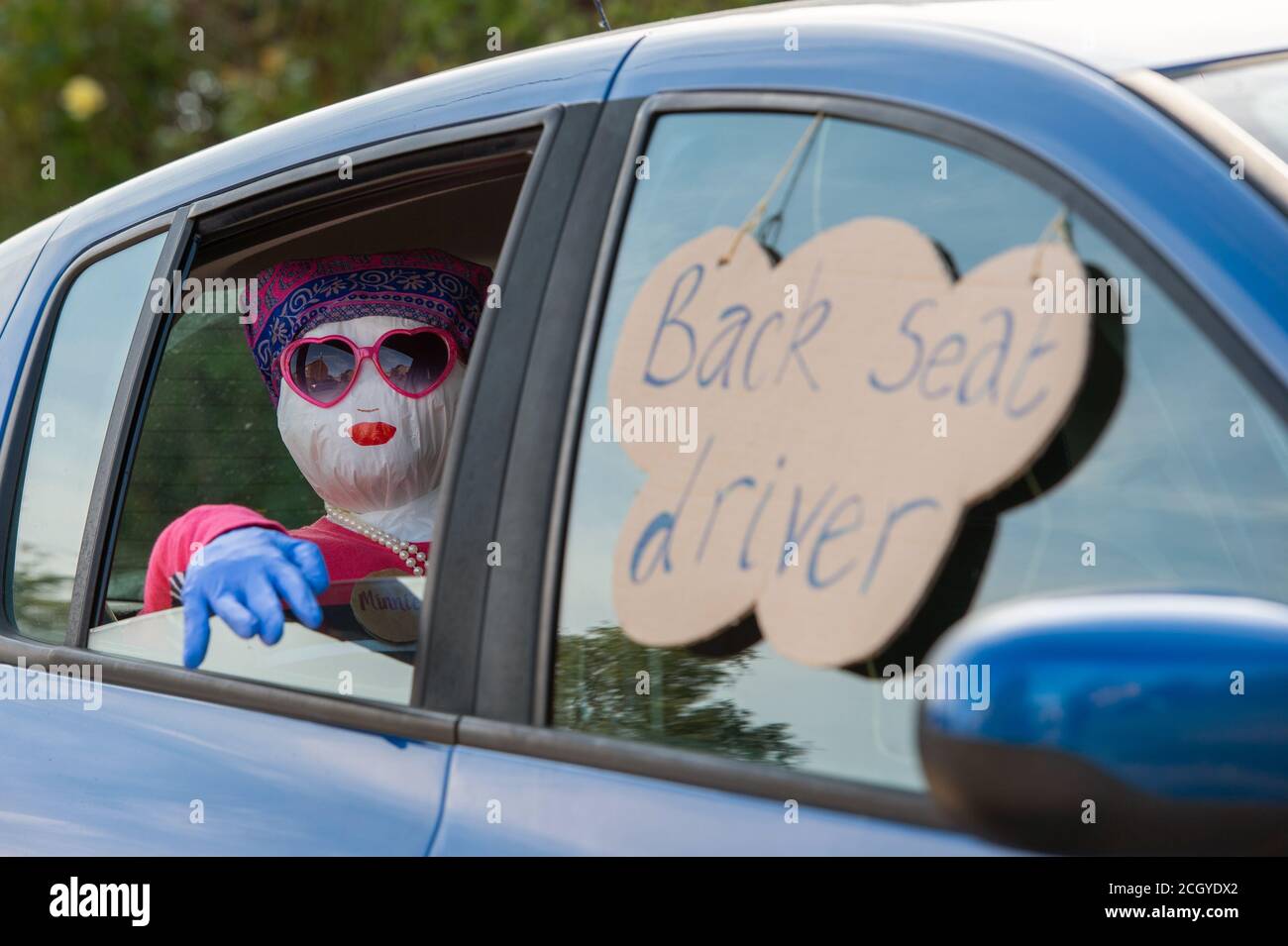 A scarecrow in a car during the Haslingfield Scarecrow Festival in ...