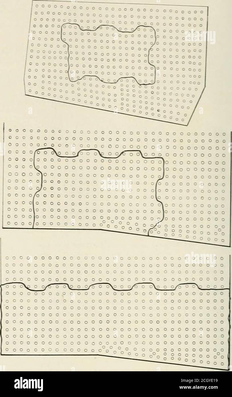 Alternating patches hi-res stock photography and images - Alamy