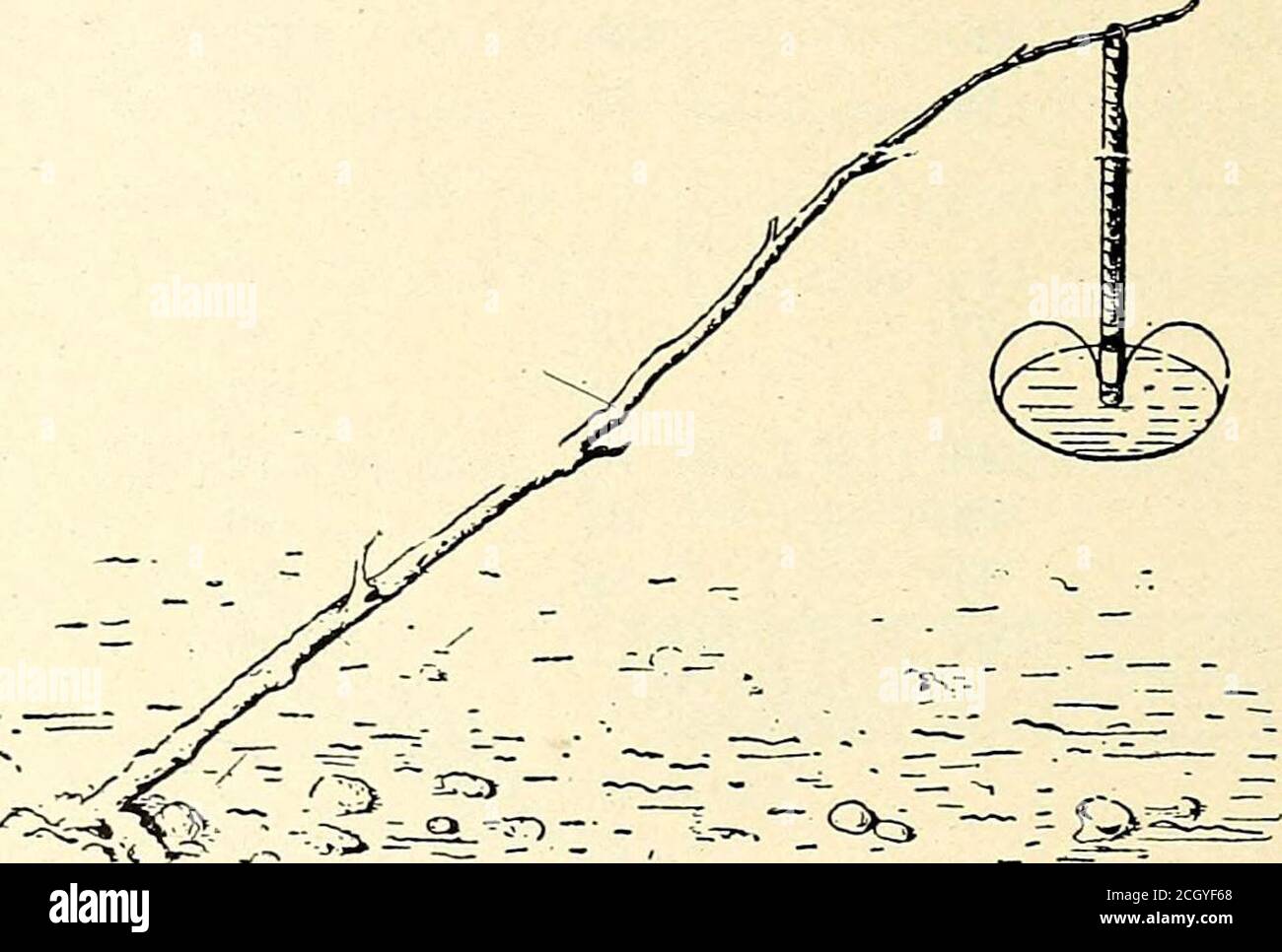 . Documentary journal of Indiana 1905 . lover on them. In what manner ...