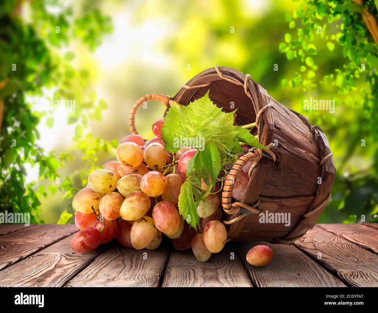 Fresh grapes in a basket on a wooden table, a crop of vegetables Stock ...