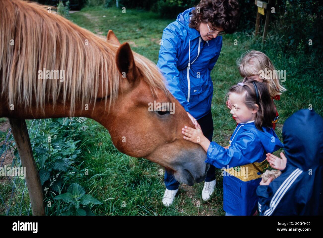 School parties visit Easton Farm Park in Great Easton, Suffolk. 10 July ...