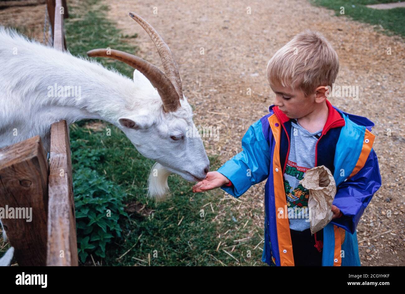 School parties visit Easton Farm Park in Great Easton, Suffolk. 10 July ...
