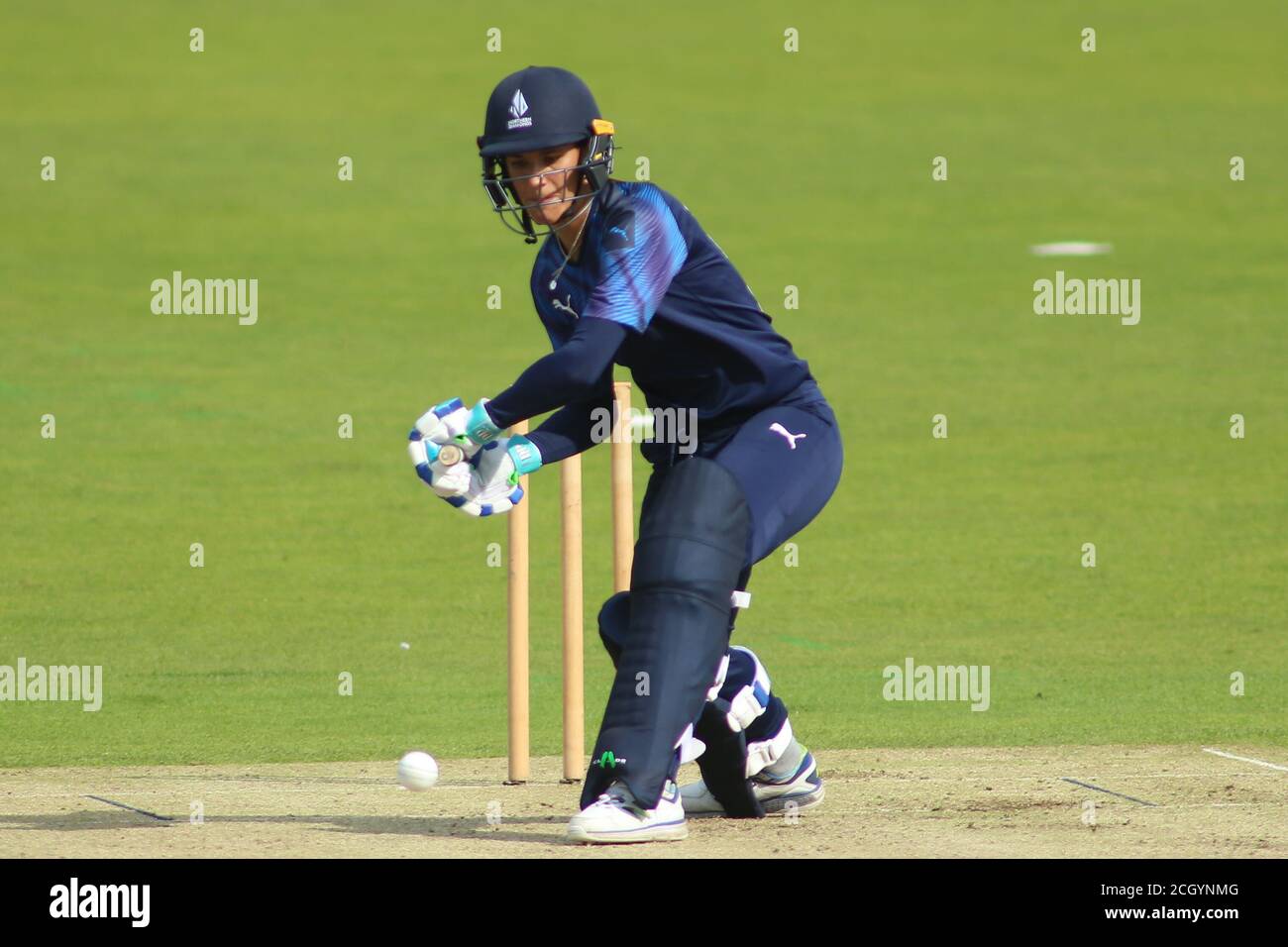 Rachel heyhoe flint trophy cricket hi-res stock photography and images ...