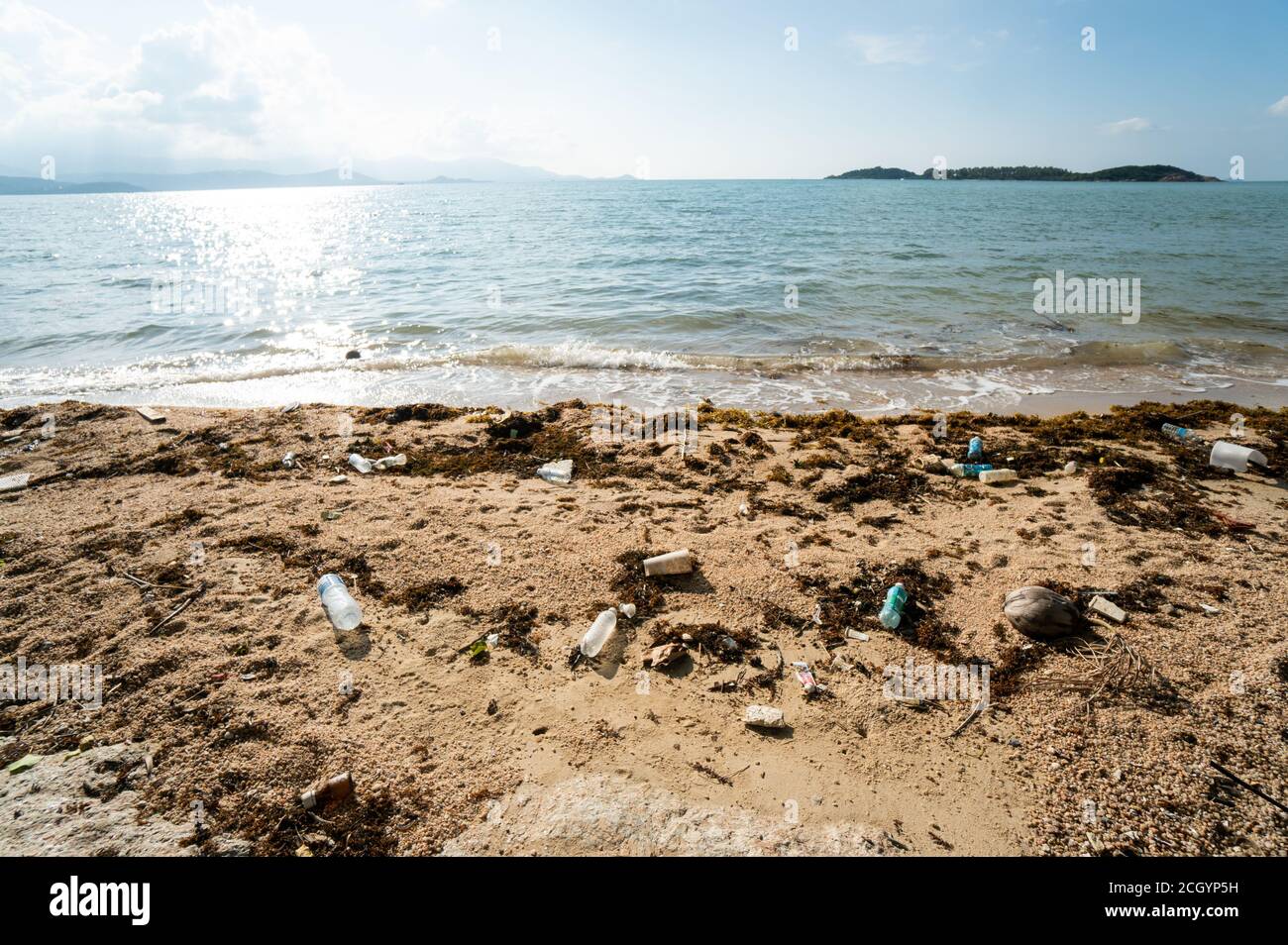 Waste on the sands causes environmental pollution. Trash on beach ...