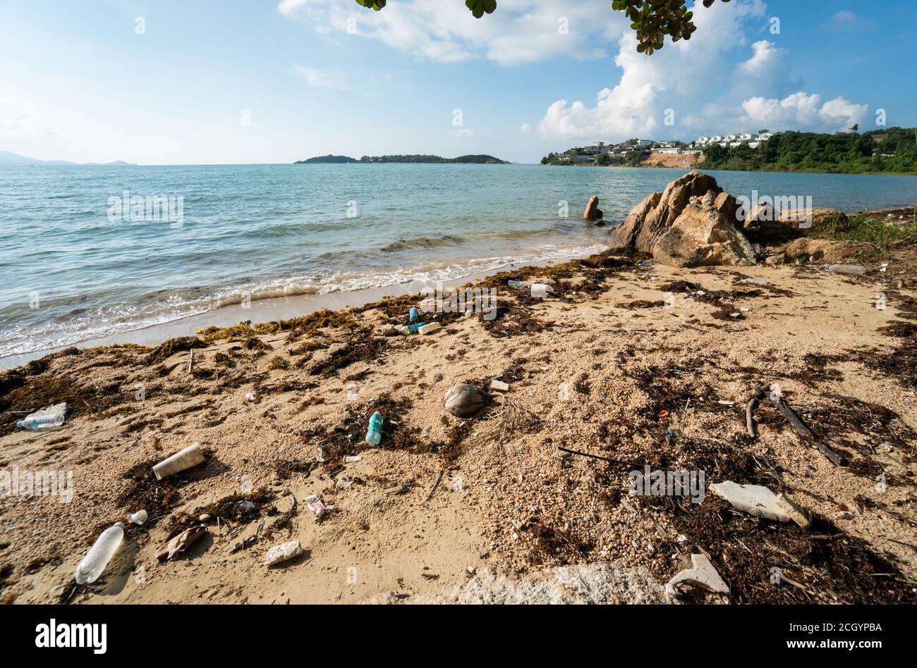 Waste on the sands causes environmental pollution. Trash on beach ...