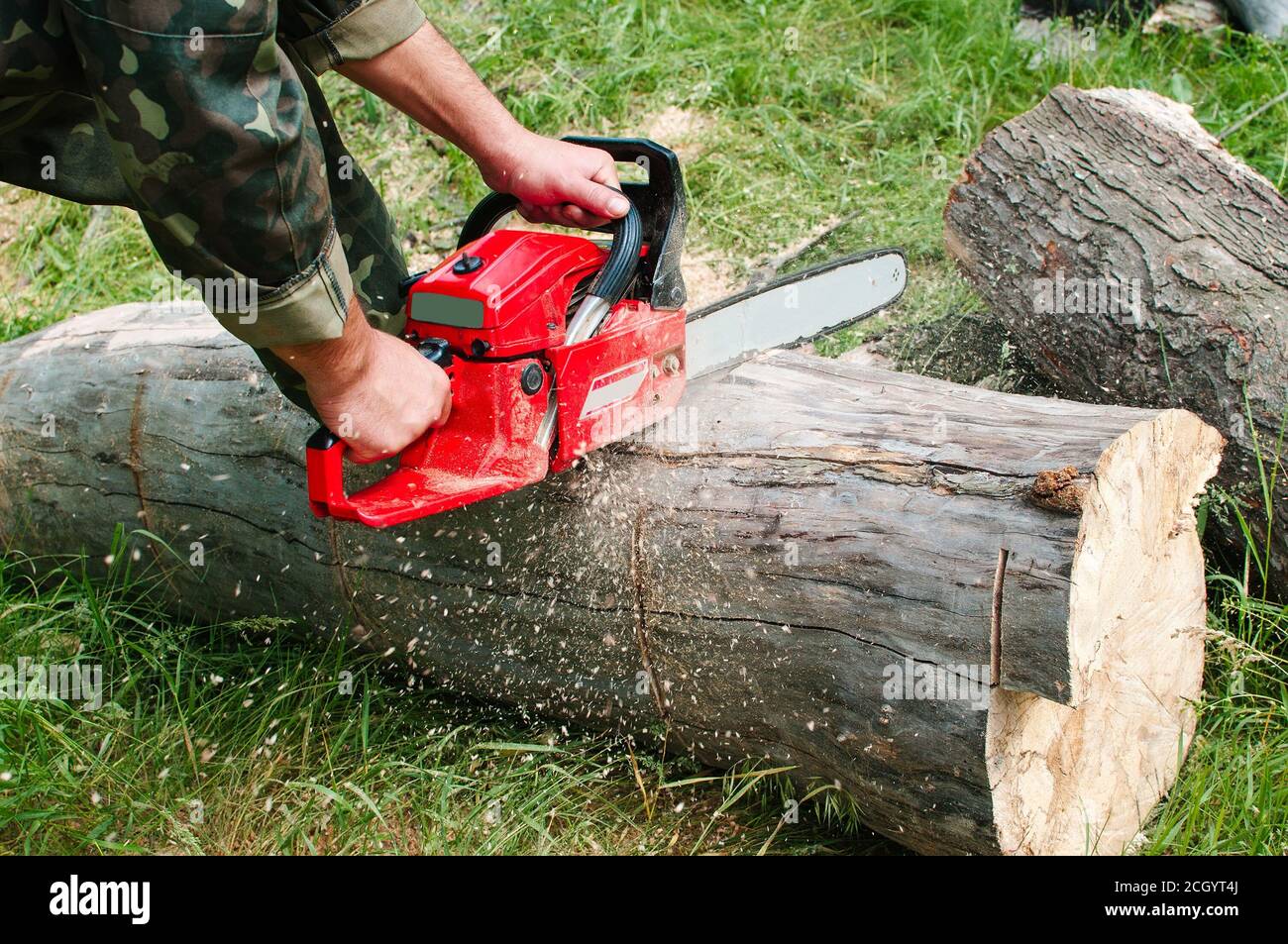 An employee with a chainsaw cuts a log. Worker in wood Stock Photo - Alamy An employee with a chainsaw cuts a log. Worker in wood Stock Photo - Alamy