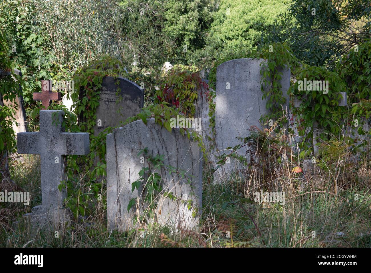 The overgrown outer east section of Brompton Cemetery Brompton Cemetery ... The overgrown outer east section of Brompton Cemetery Brompton Cemetery ...