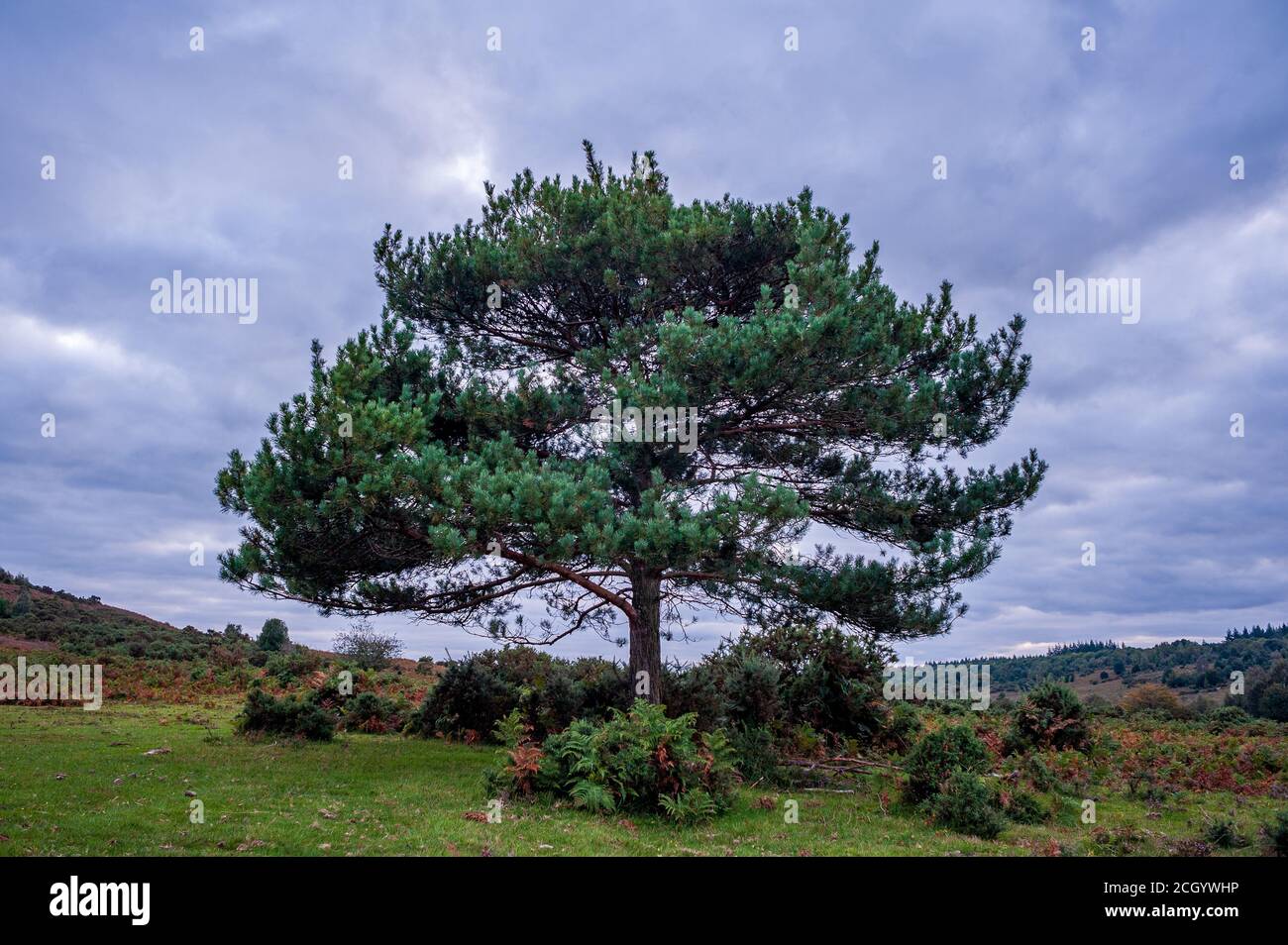 September landscape hi-res stock photography and images - Alamy