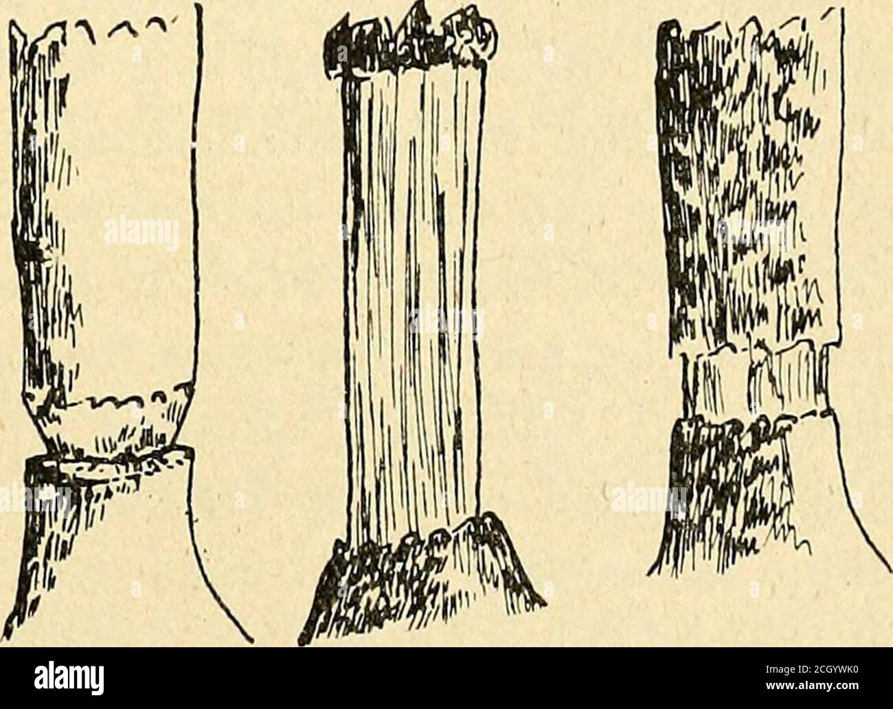 . Documentary journal of Indiana 1905 . h. c. d. No. 28. Different ...