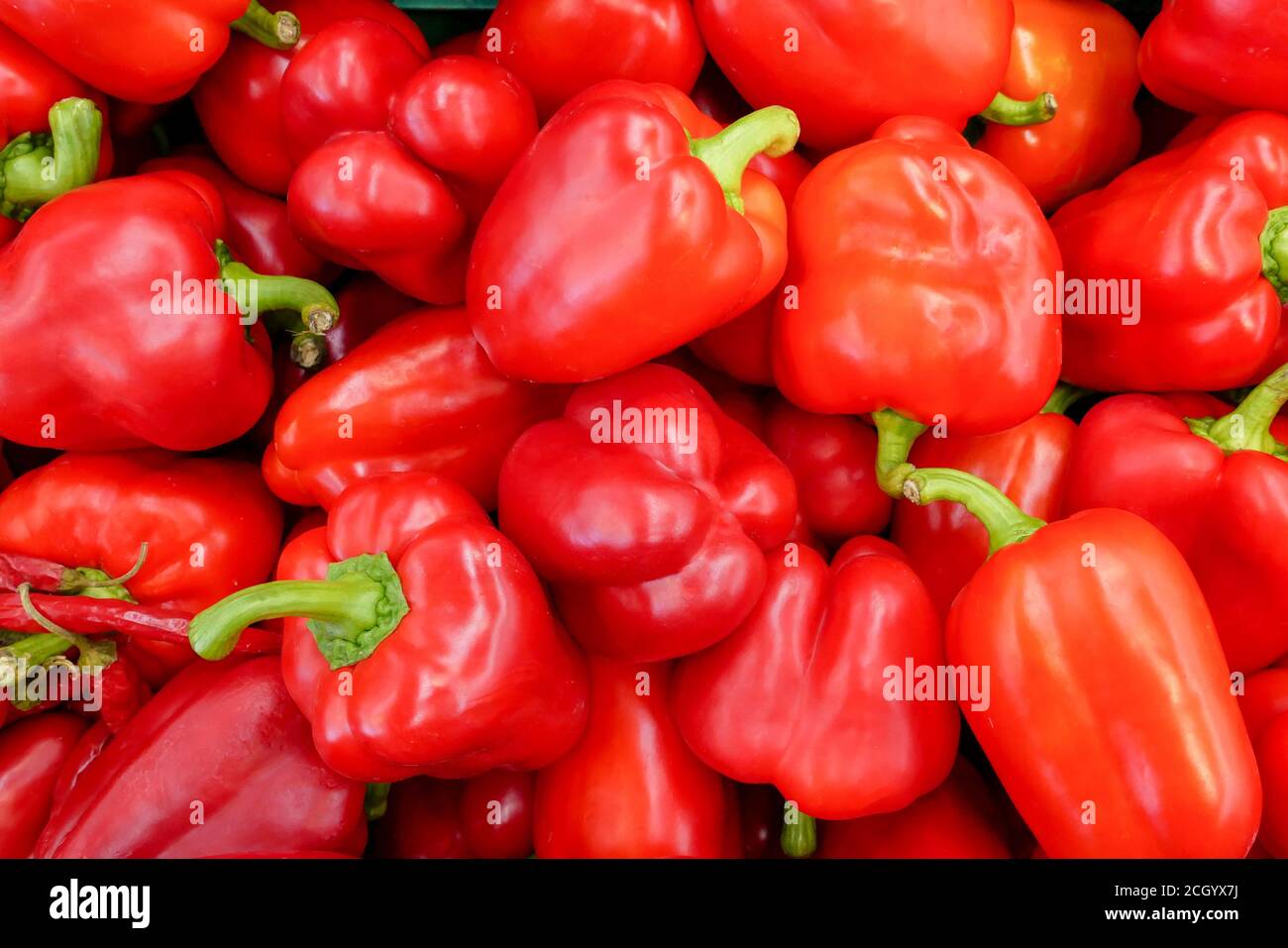 Group organic vegetable red sweet pepper, above view. Texture wallpaper ...