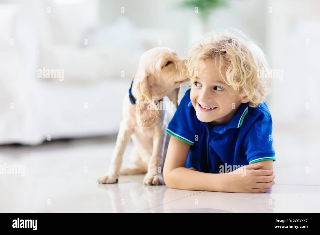 Child playing with baby dog. Kids play with puppy. Little boy and ...