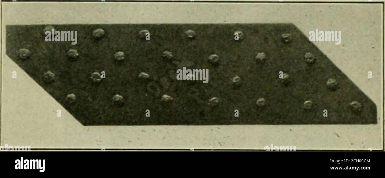 . Railway mechanical engineer . ofthe crown sheet and fire door sheet ...