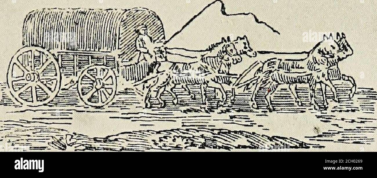 . A history of travel in America, being an outline of the development ...