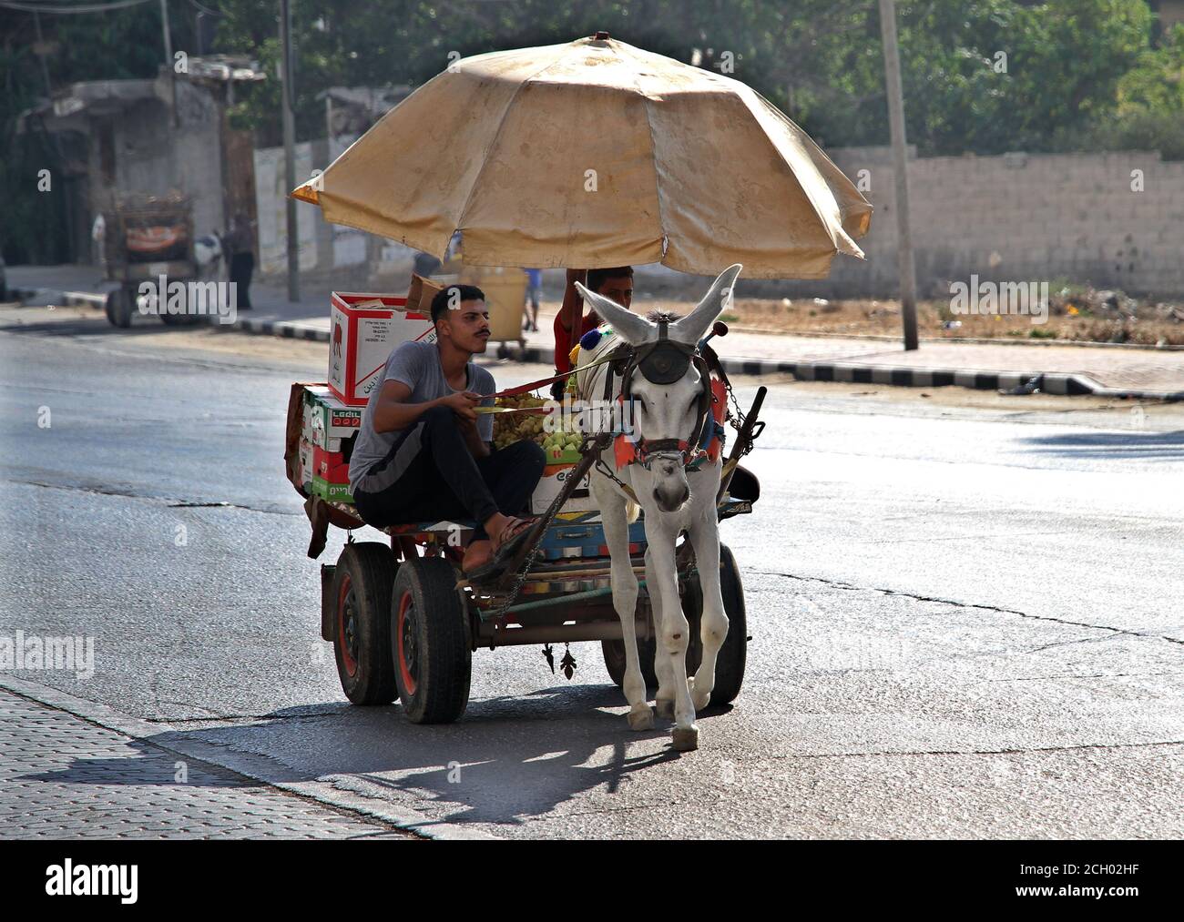 Donkey cart palestine hi-res stock photography and images - Alamy