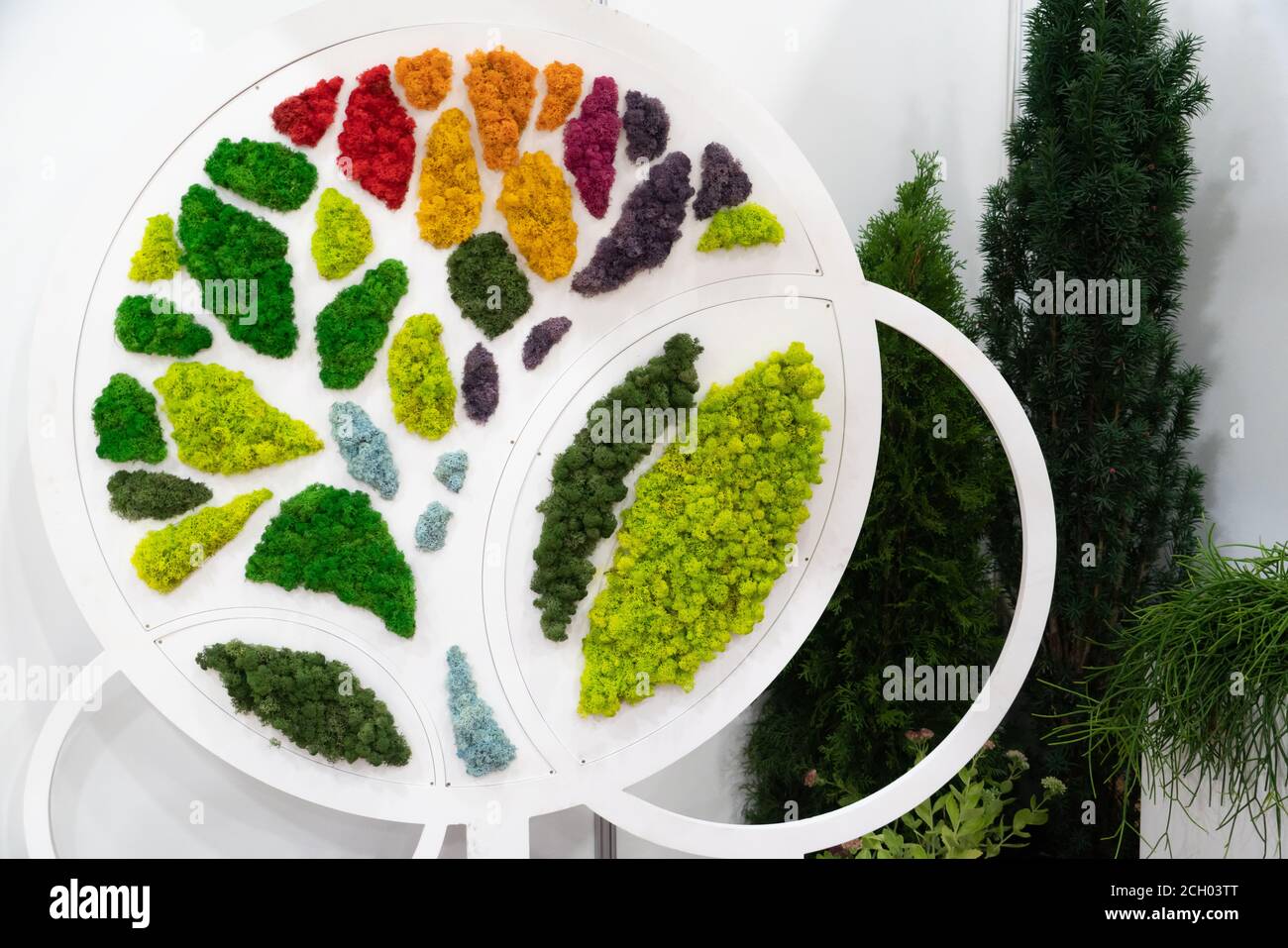 Vertical decoration with color moss Stock Photo - Alamy