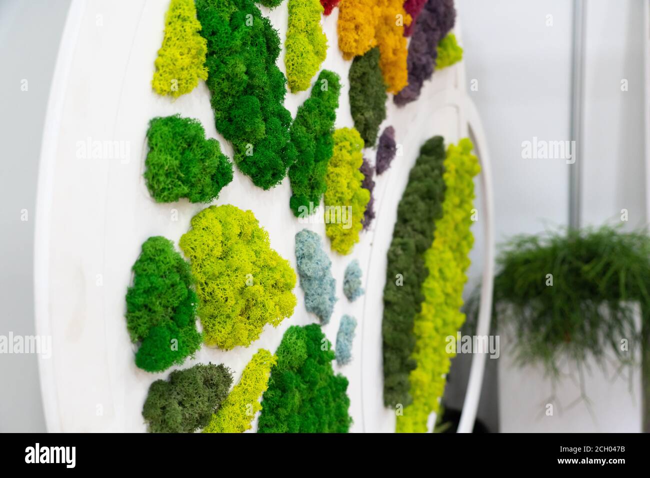Vertical decoration with color moss Stock Photo - Alamy