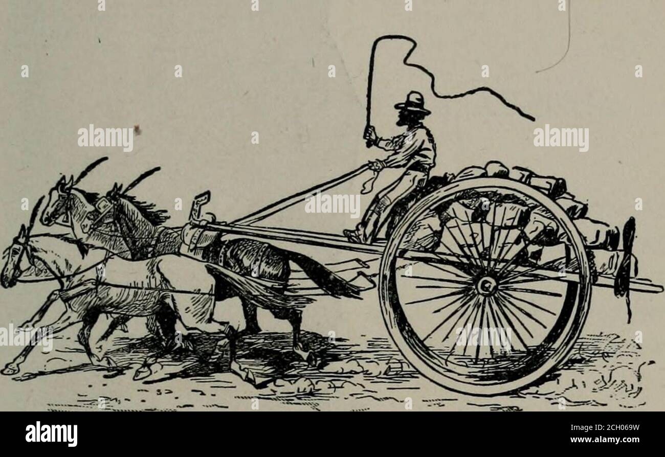 Araba cart hi-res stock photography and images - Alamy