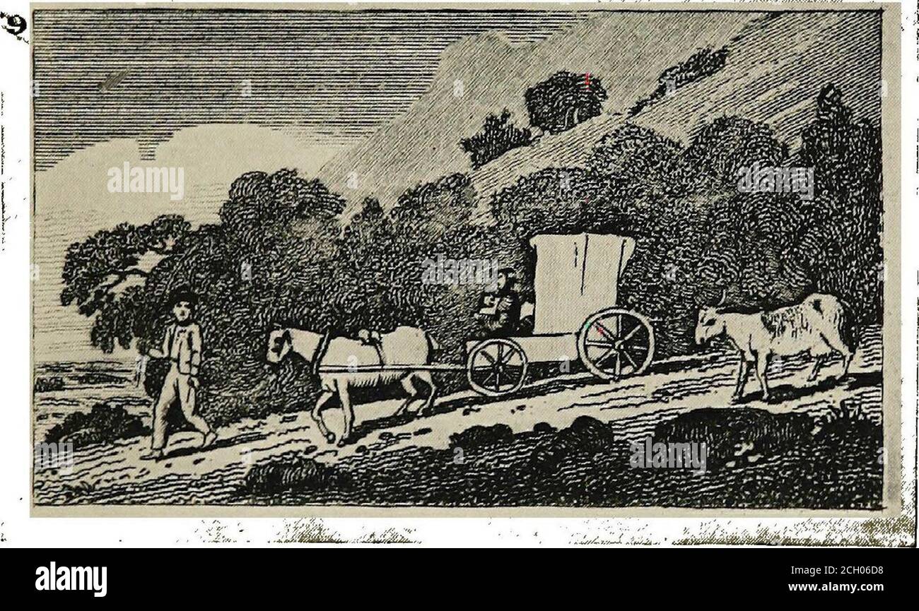 . A history of travel in America, being an outline of the development ...