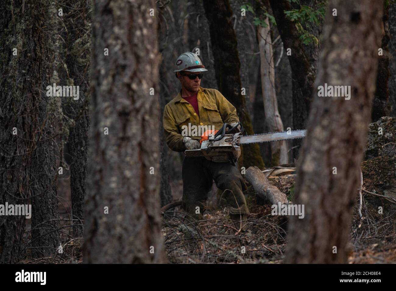 Department of defe hi-res stock photography and images - Alamy
