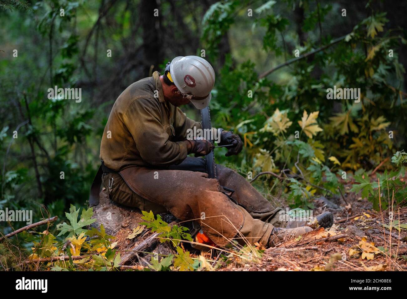 14th engineer battalion hi-res stock photography and images - Alamy