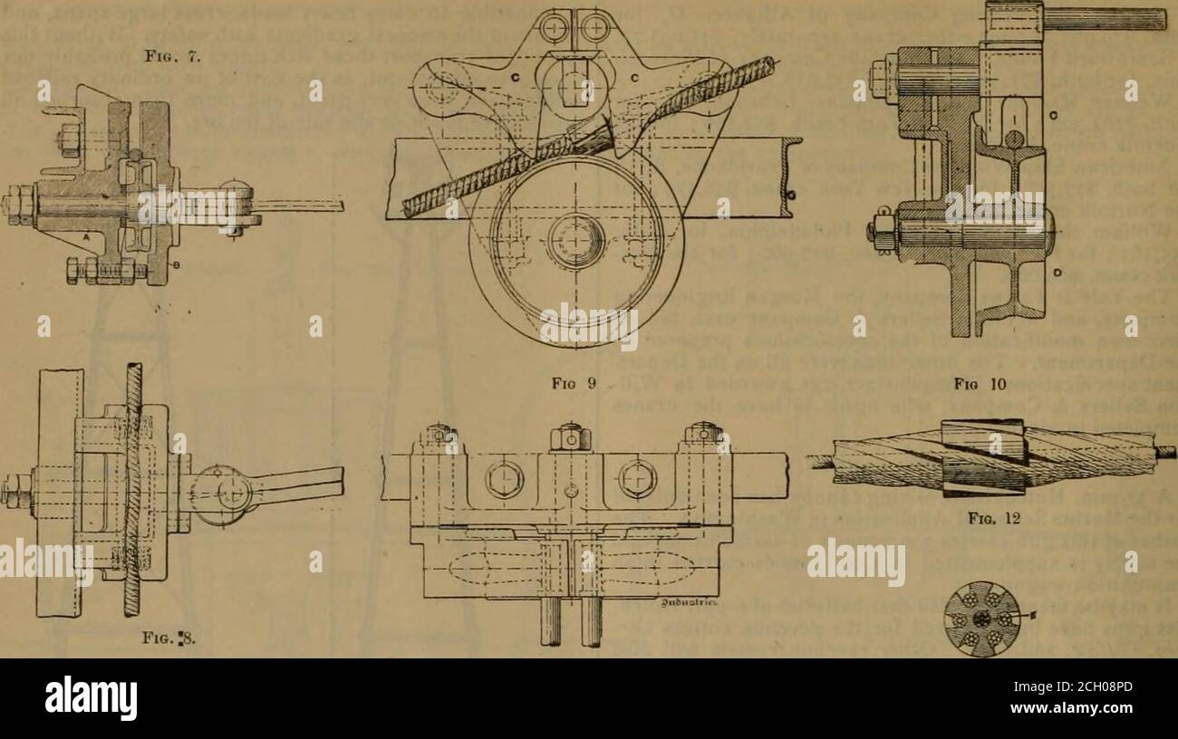 Sus triangular hi-res stock photography and images - Alamy