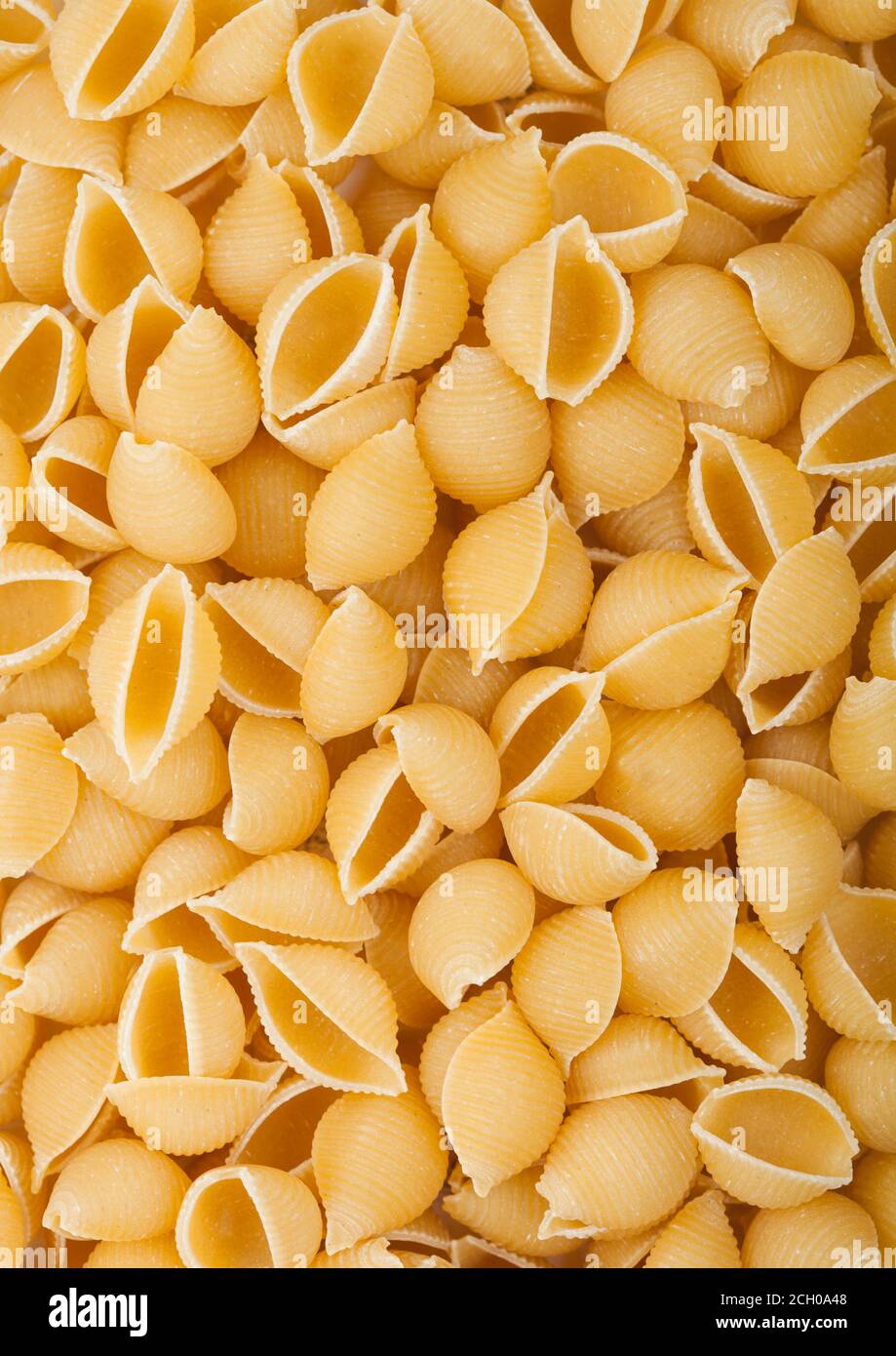 Fresh raw classic conchiglie pasta ias texture background. Macro Stock ...