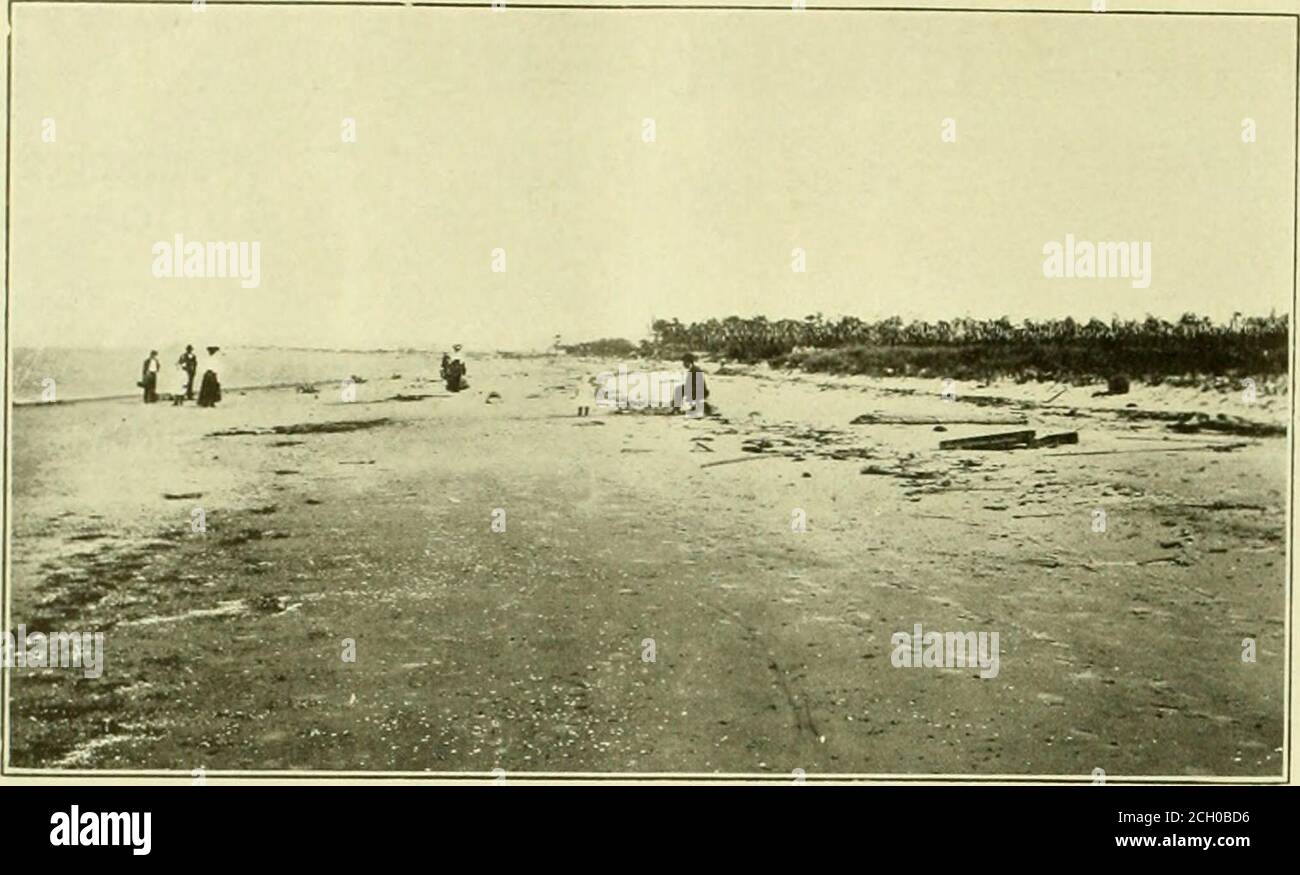 . The Suburbanite; a monthly magazine for those who are and those who ...