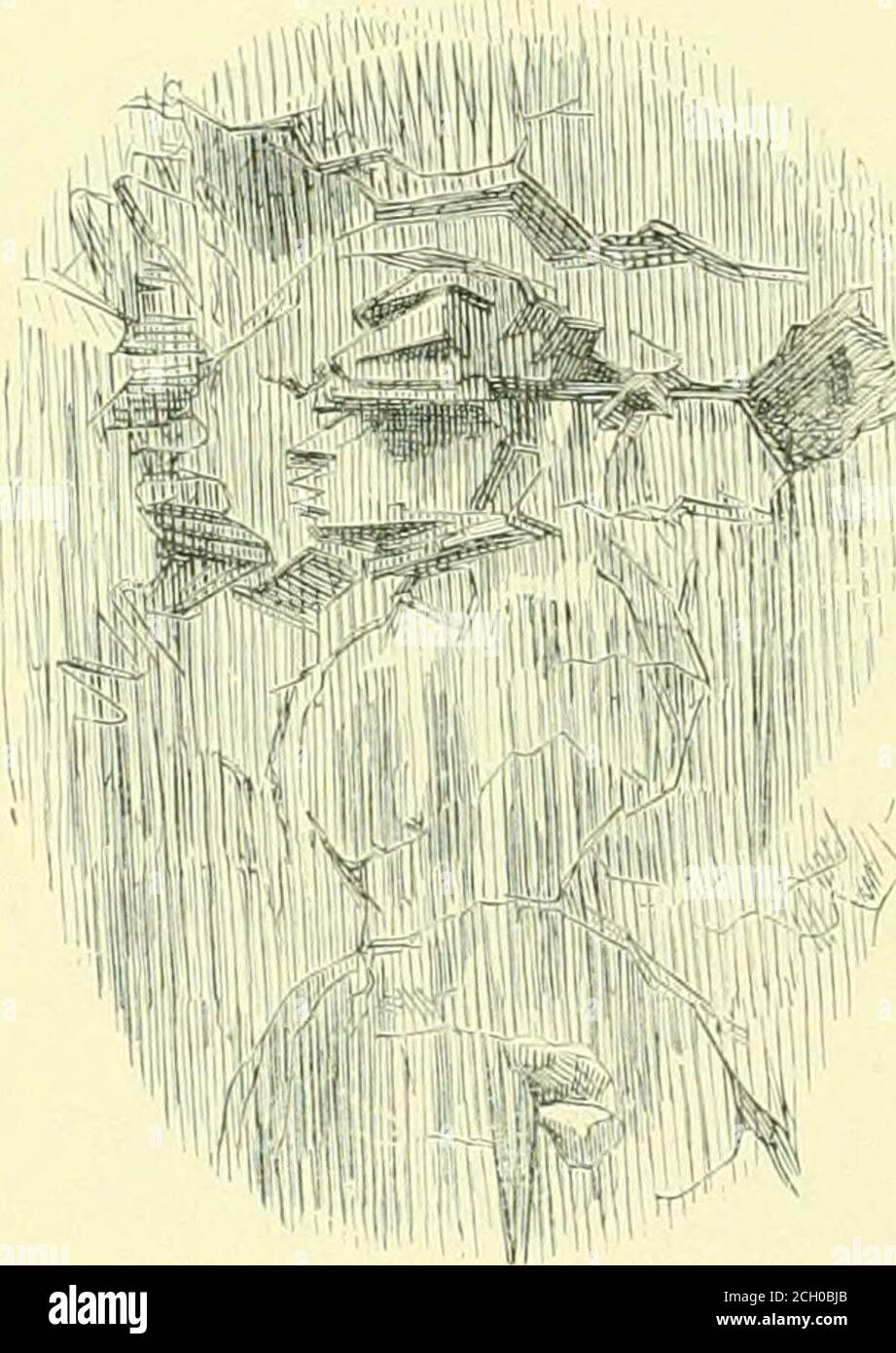 William prescott smith hi-res stock photography and images - Alamy