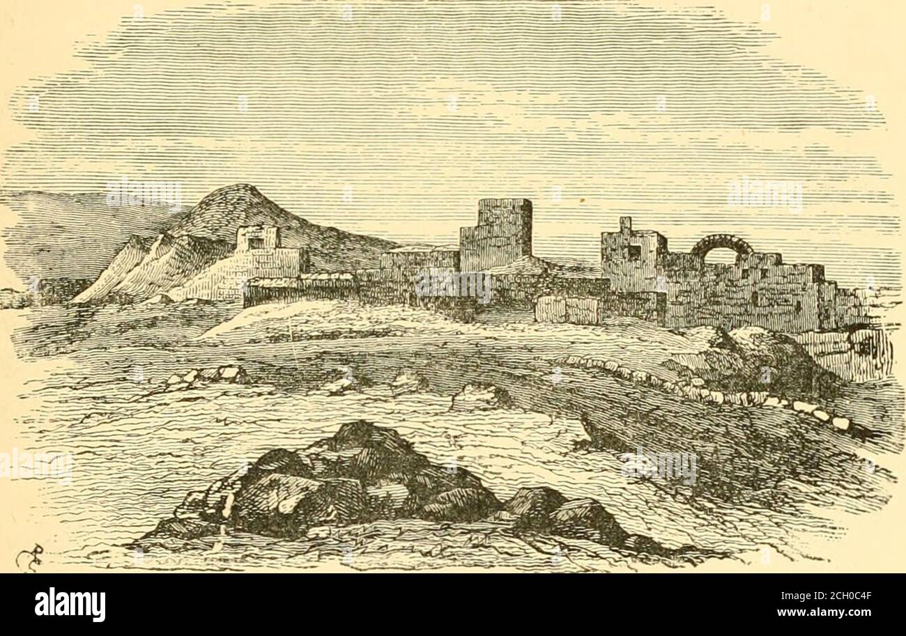 Adoni bezek hi-res stock photography and images - Alamy