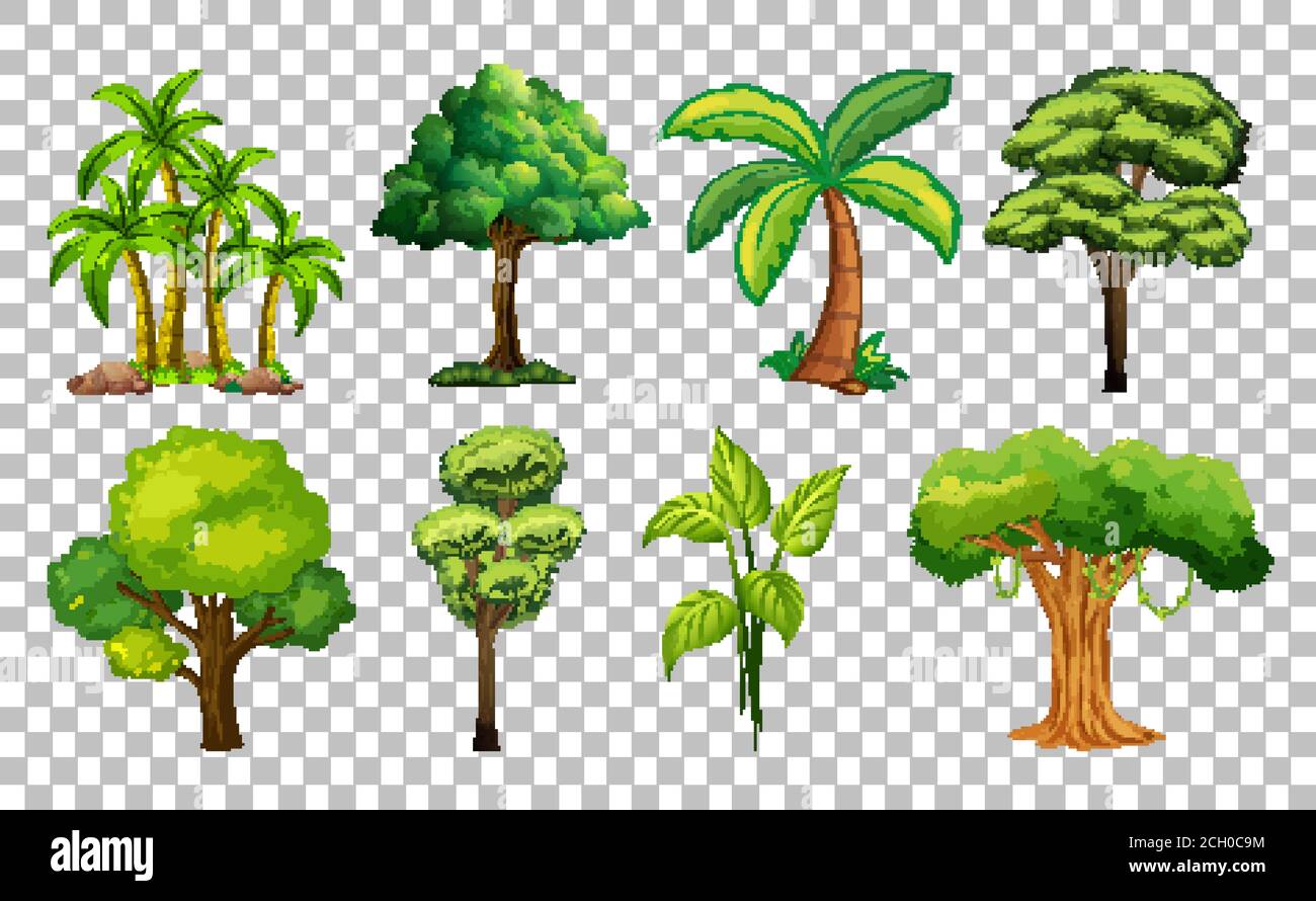 Set of tree on transparent background illustration Stock Vector Image ...
