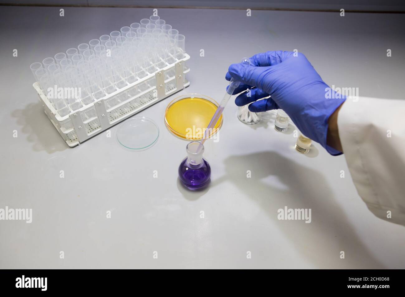 Bacterial identification hi-res stock photography and images - Alamy