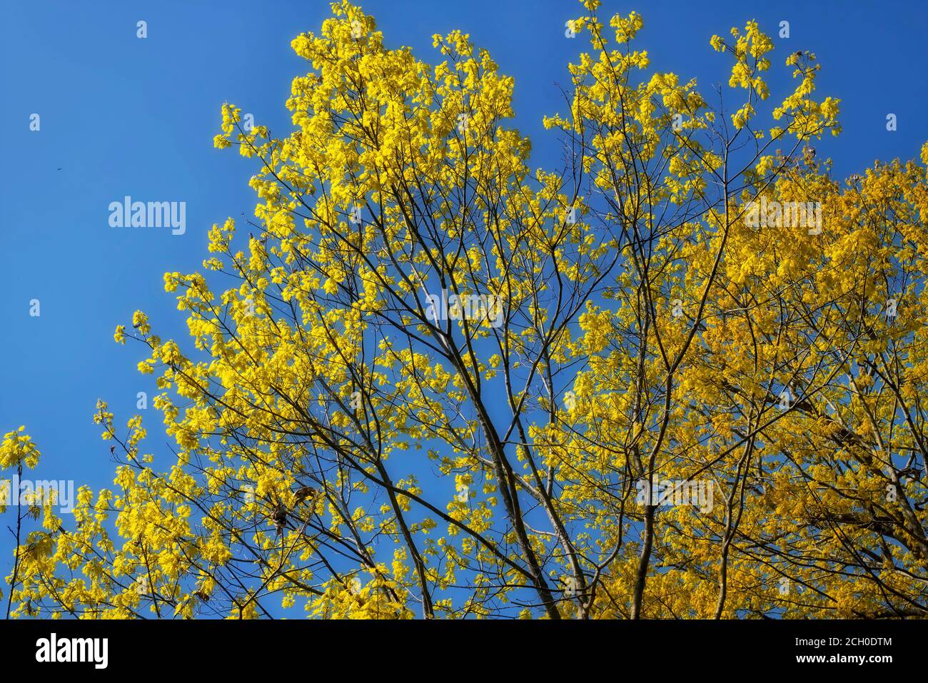Spear farm estuary preserve hi-res stock photography and images - Alamy