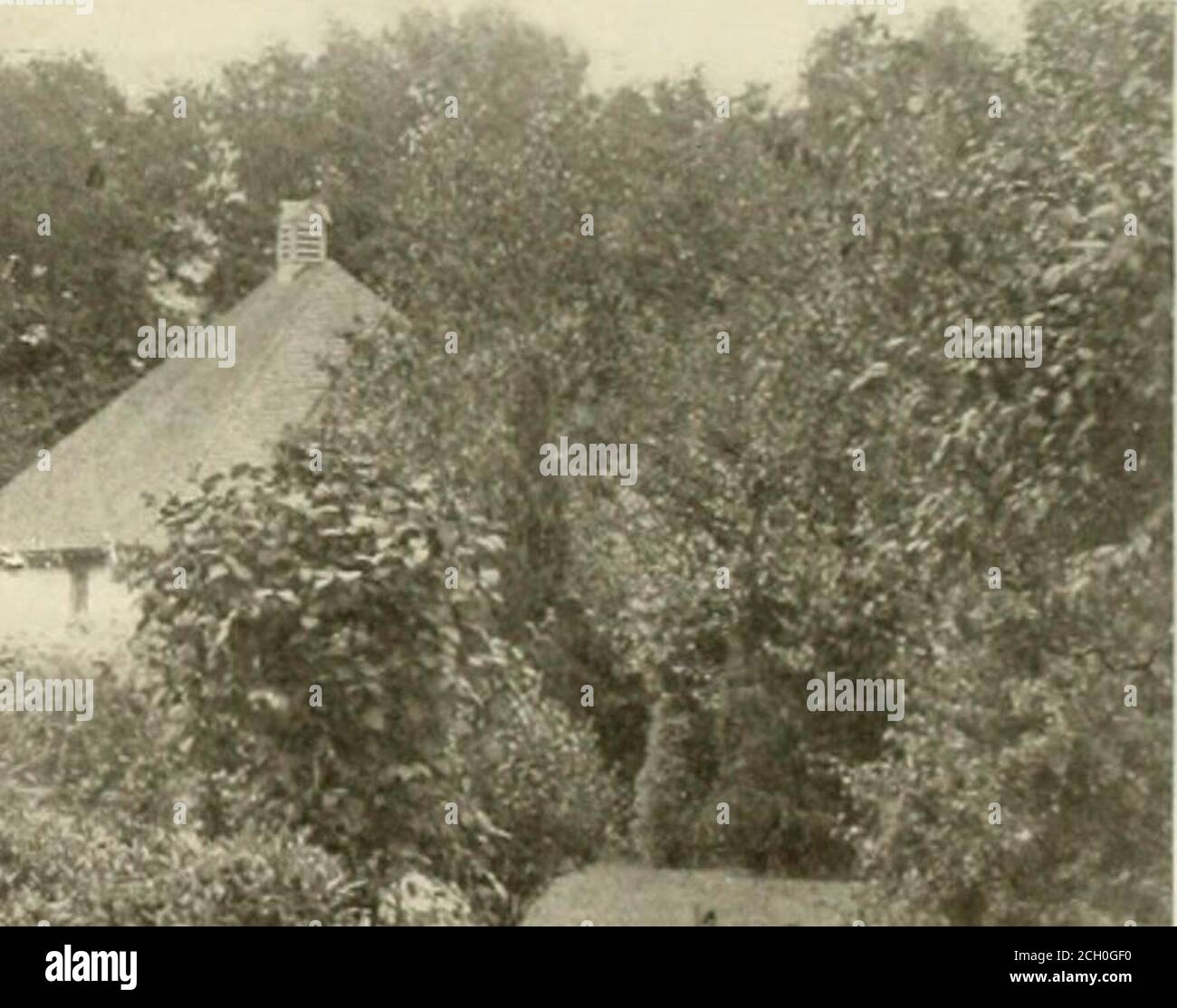 . The Suburbanite; a monthly magazine for those who are and those who ...