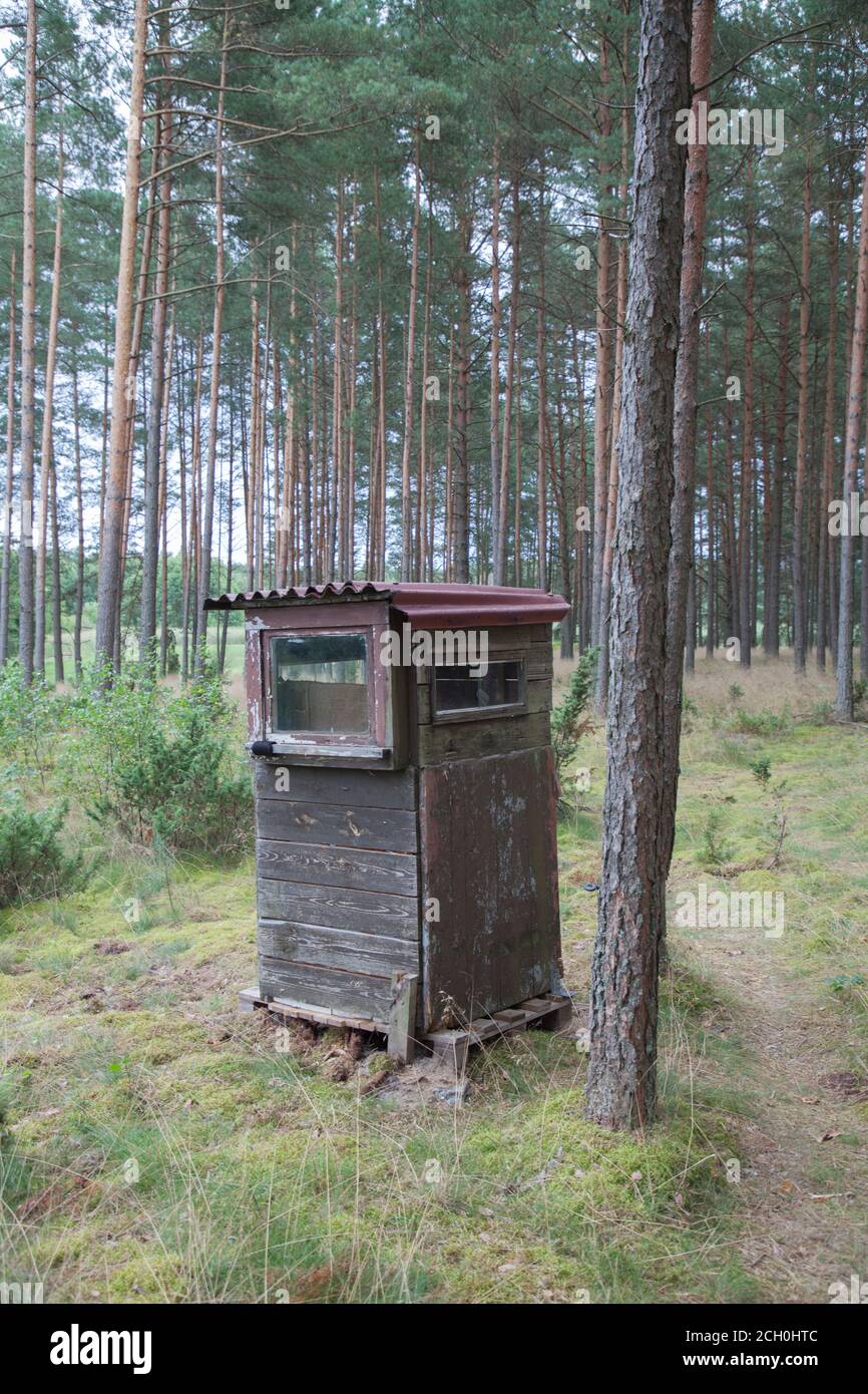 Hunting Booth used for Wild Boar Stock Photo - Alamy