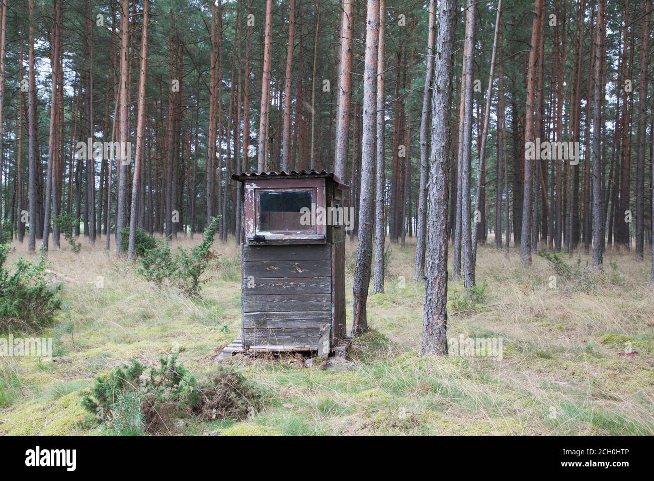 Hunting Booth used for Wild Boar Stock Photo - Alamy