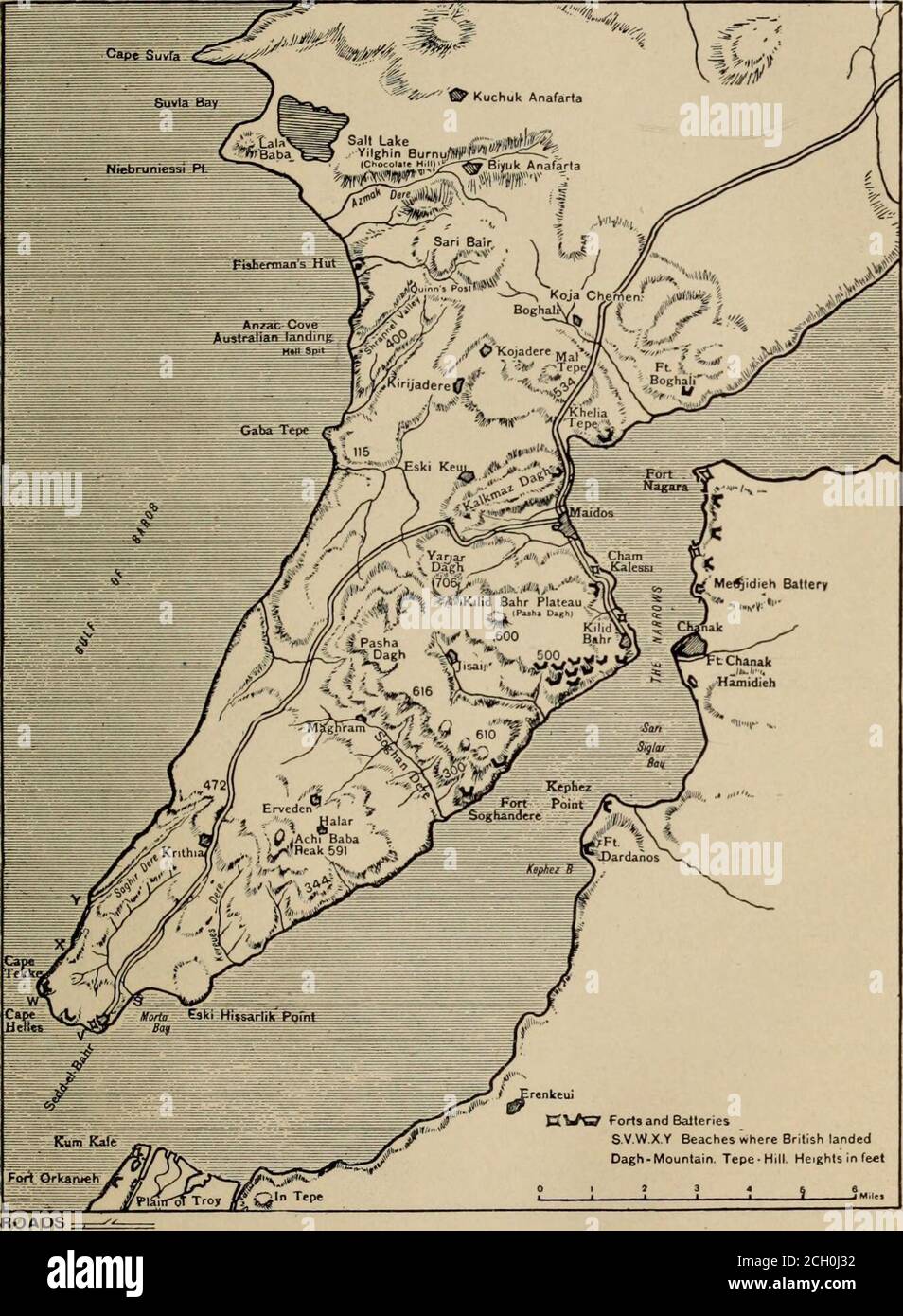 . The cradle of the war, the Near East and Pan-Germanism. With foreword ...