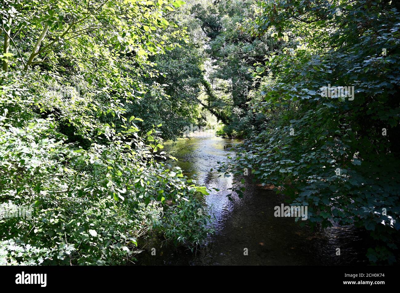 River cray hi-res stock photography and images - Alamy