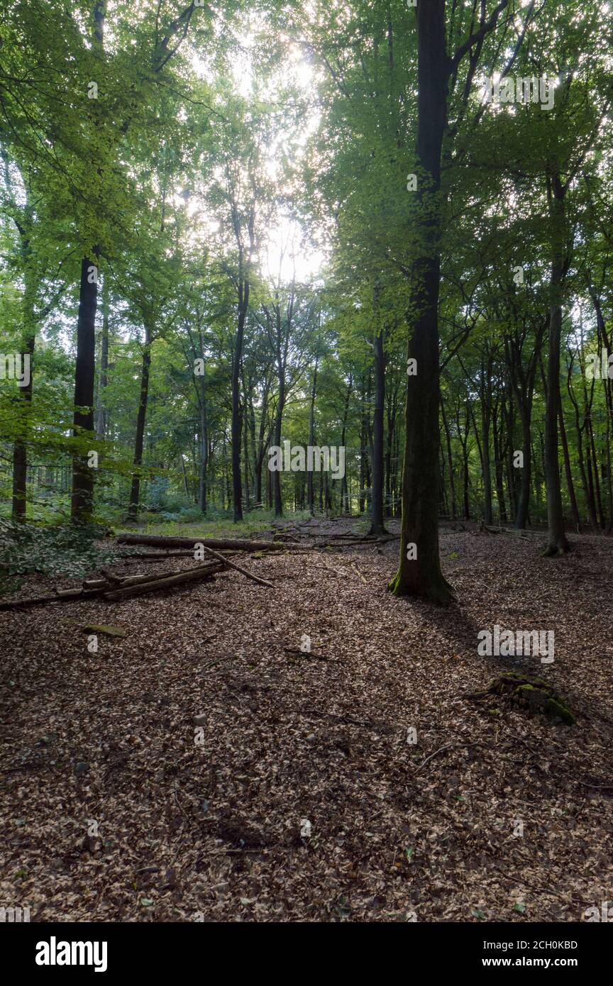 Hettenheuvel hi-res stock photography and images - Alamy