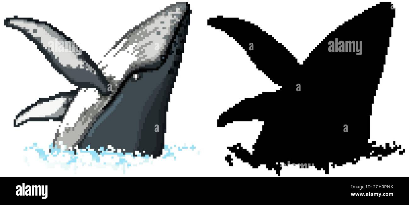 Humpback whale characters and its silhouette on white background ...