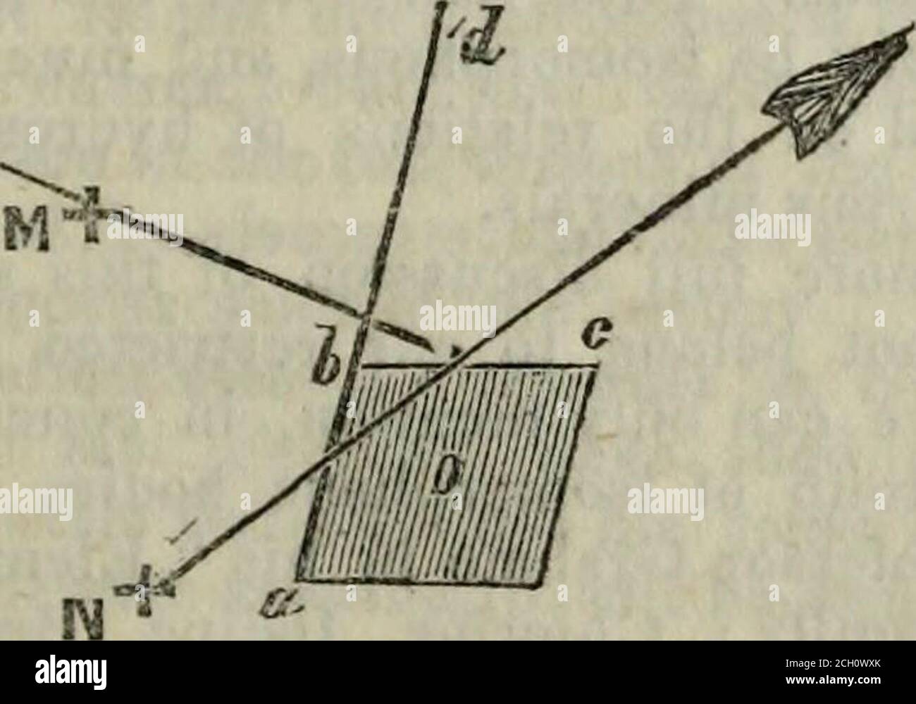 . The Family tutor . Fio-. 40. Fiff. 41. goniometers. The common ...