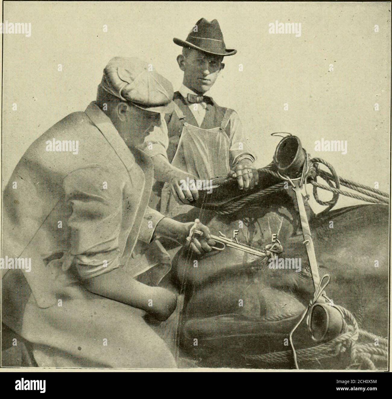 Castration Is Love Cord