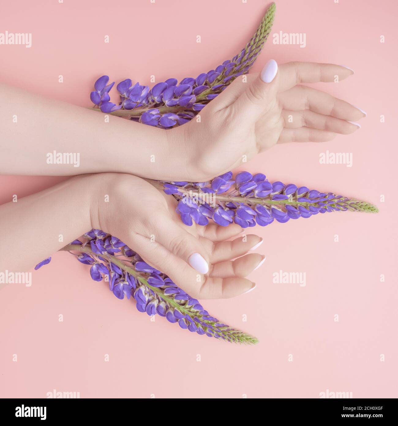 Skin colours concept hi-res stock photography and images - Alamy